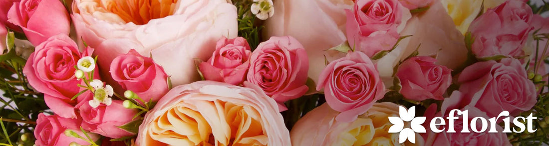 Eflorist Digital PR Case Study | Honcho UK